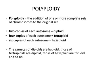 Allopolyploid | PPTX