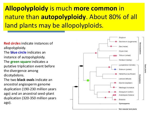 Autopolyploidy