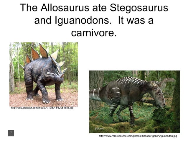 Allosaurus | PPT