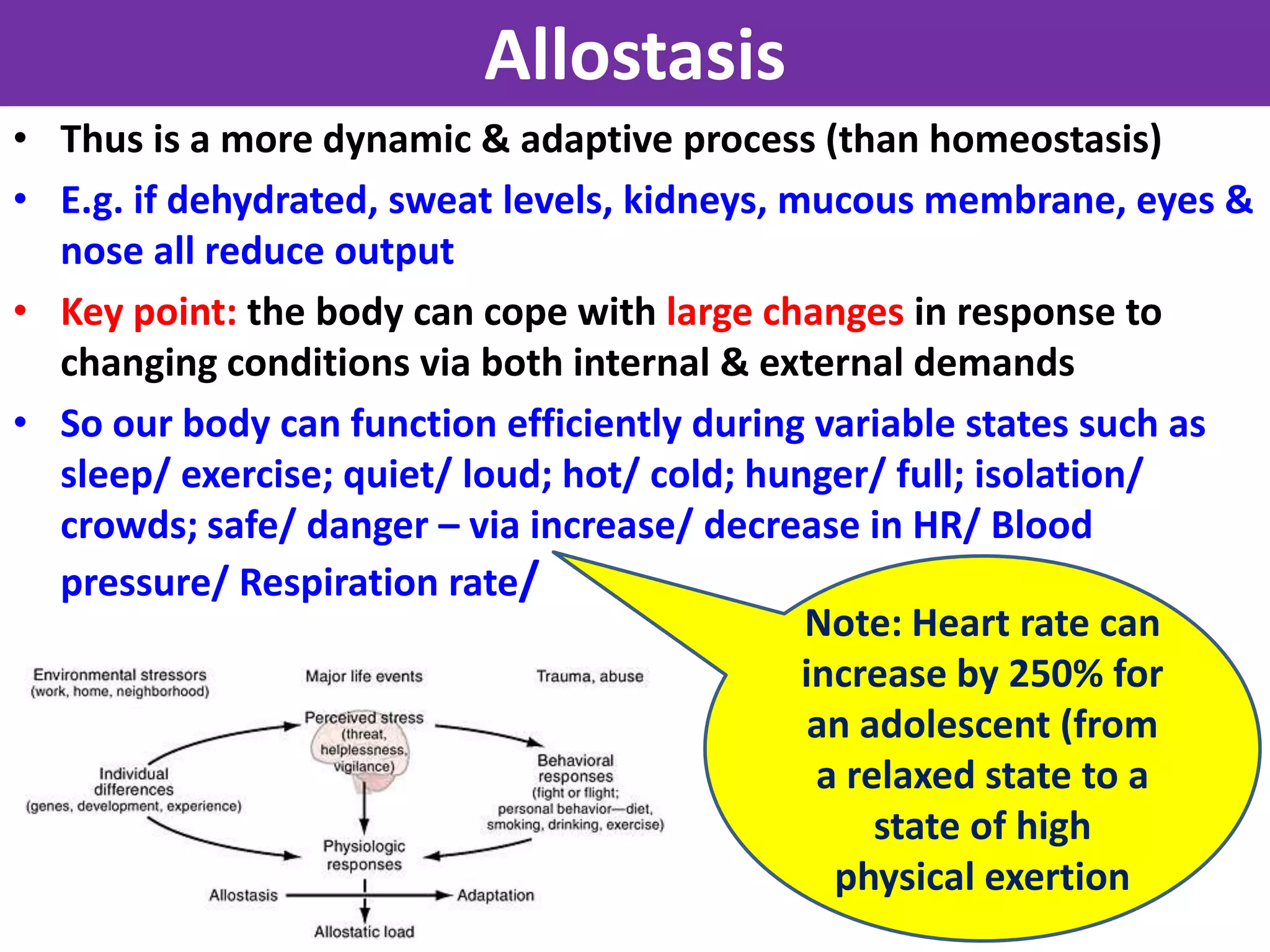 Allostasis | PPTX
