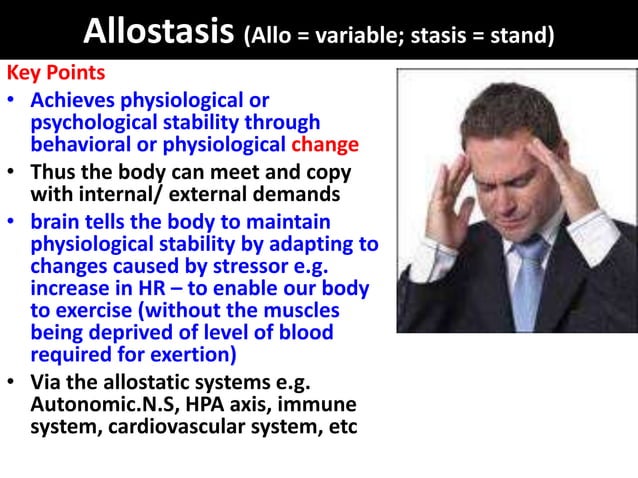 Allostasis | PPTX | Endocrine and Metabolic Diseases | Diseases and ...