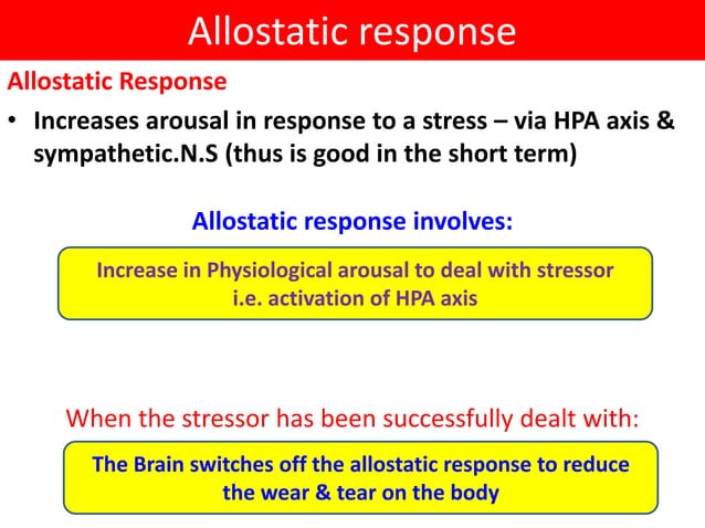 Allostasis | PPTX | Endocrine and Metabolic Diseases | Diseases and ...