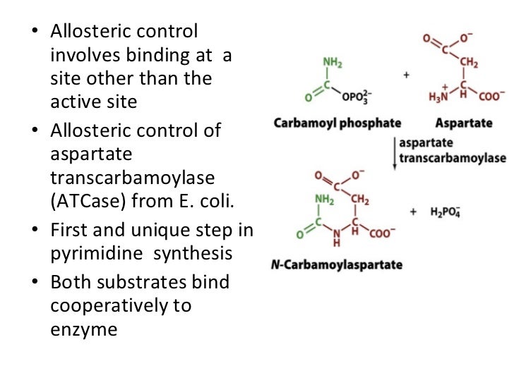 Allosteric inhibition