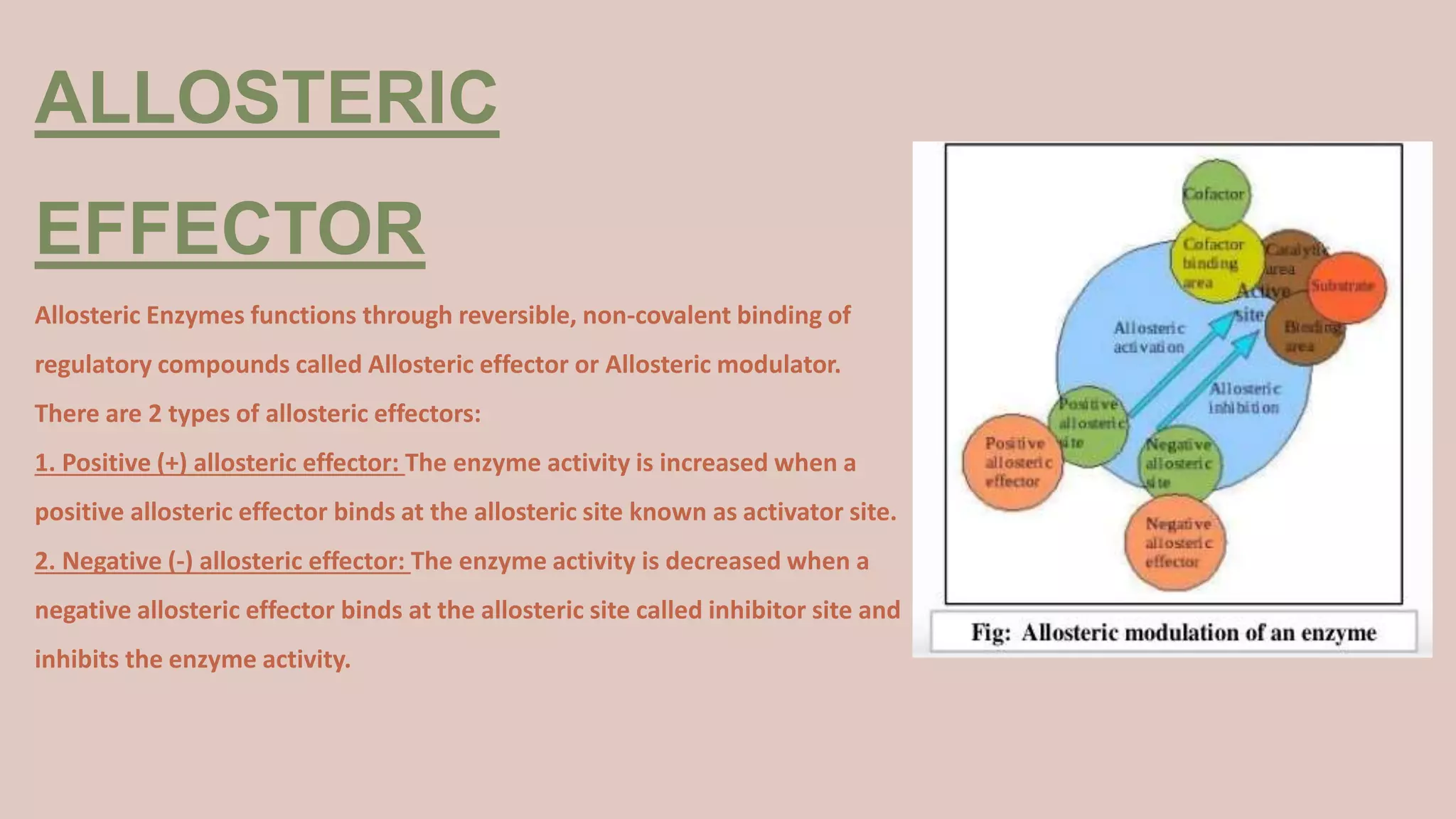 Allosteric-Enzymes ppt.pptx