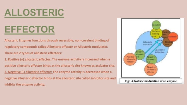 Allosteric-Enzymes ppt.pptx