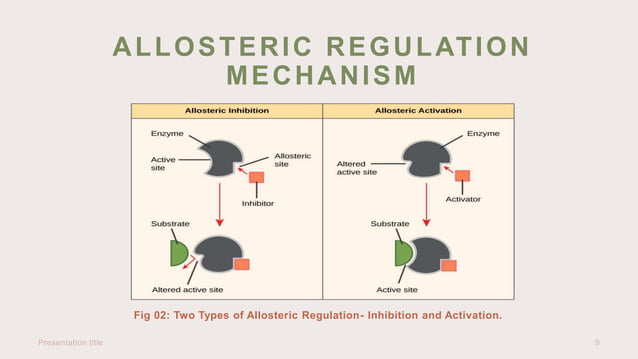 Allosteric-Enzymes ppt.pptx