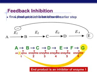 Allosteric and Feedback Regulation of Enzymes.ppt