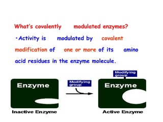 Allosteric and Feedback Regulation of Enzymes.ppt