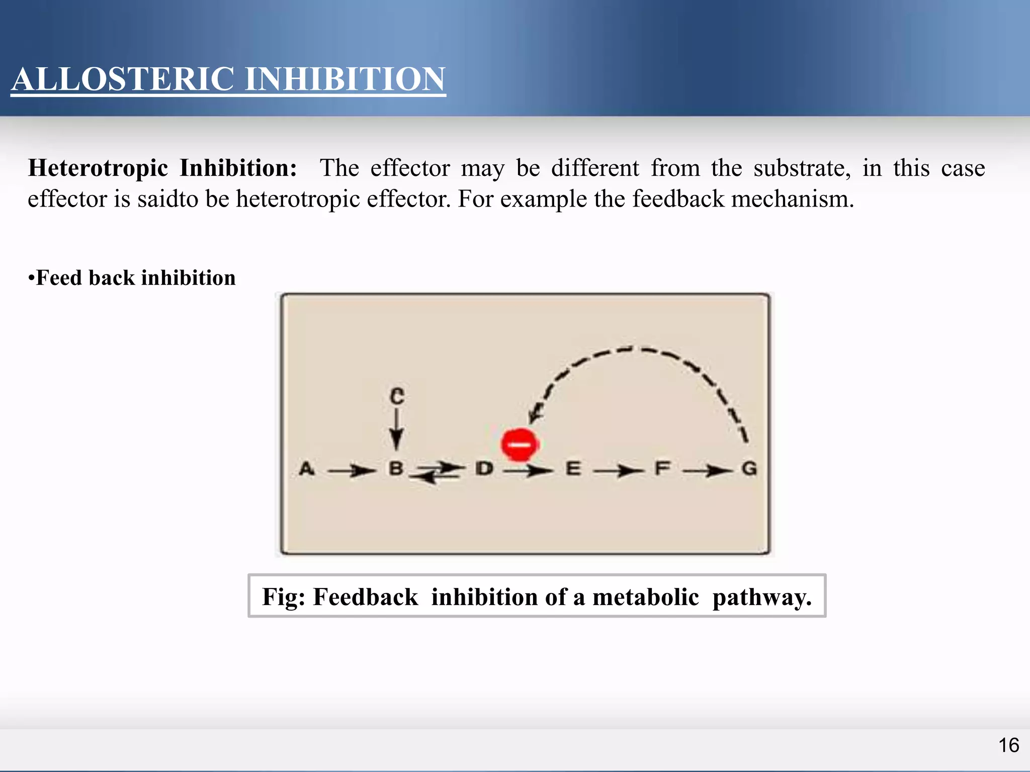 Allosteric enzymes | PPTX