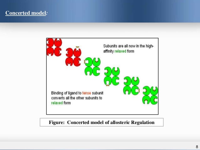 Allosteric enzymes