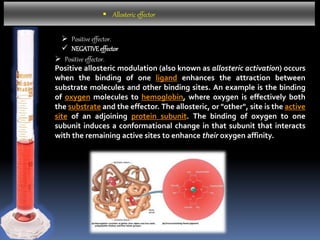 Allosteric enzymes | PPT