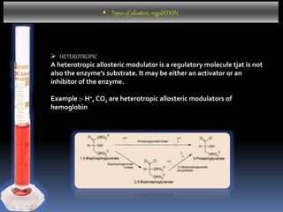 Allosteric enzymes | PPT