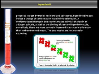 Allosteric enzymes | PPTX