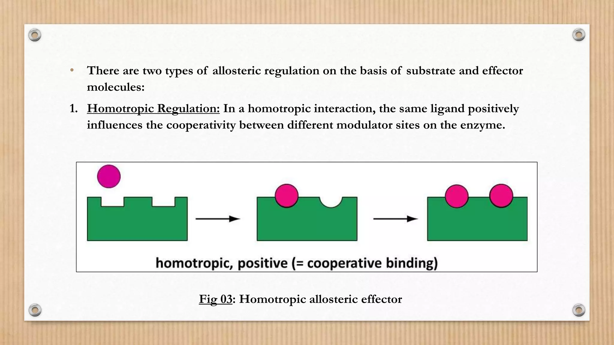 Allosteric enzymes | PPTX