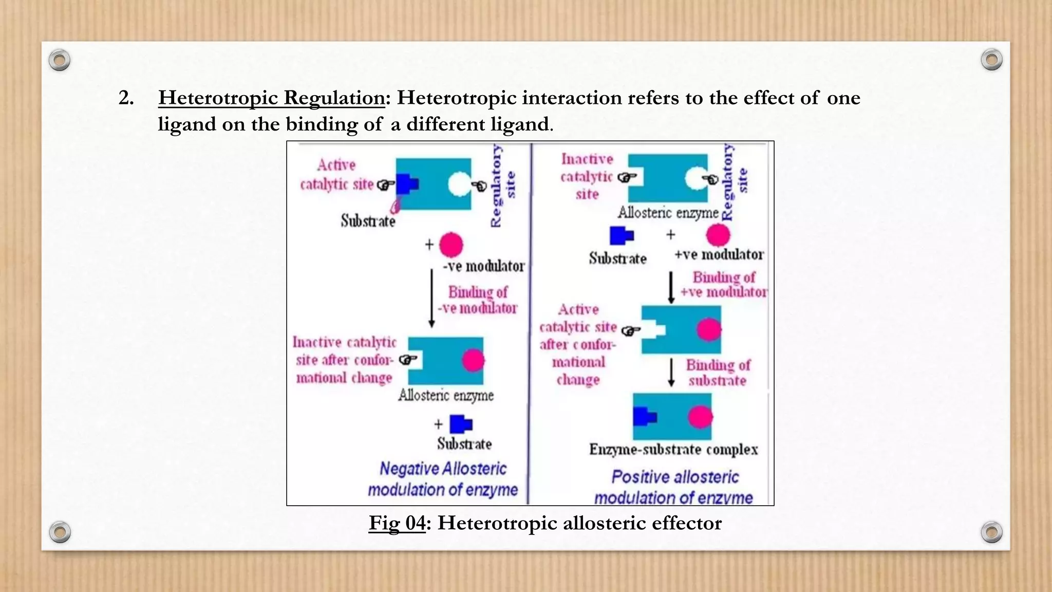 Allosteric enzymes | PPTX