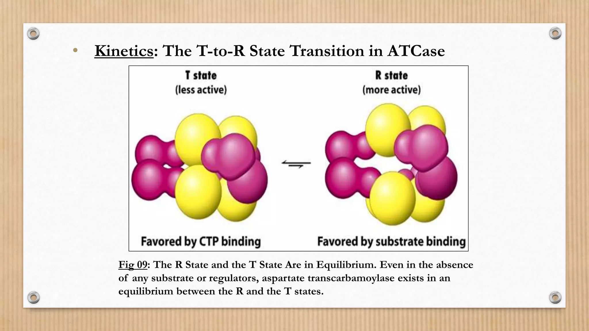 Allosteric enzymes | PPTX