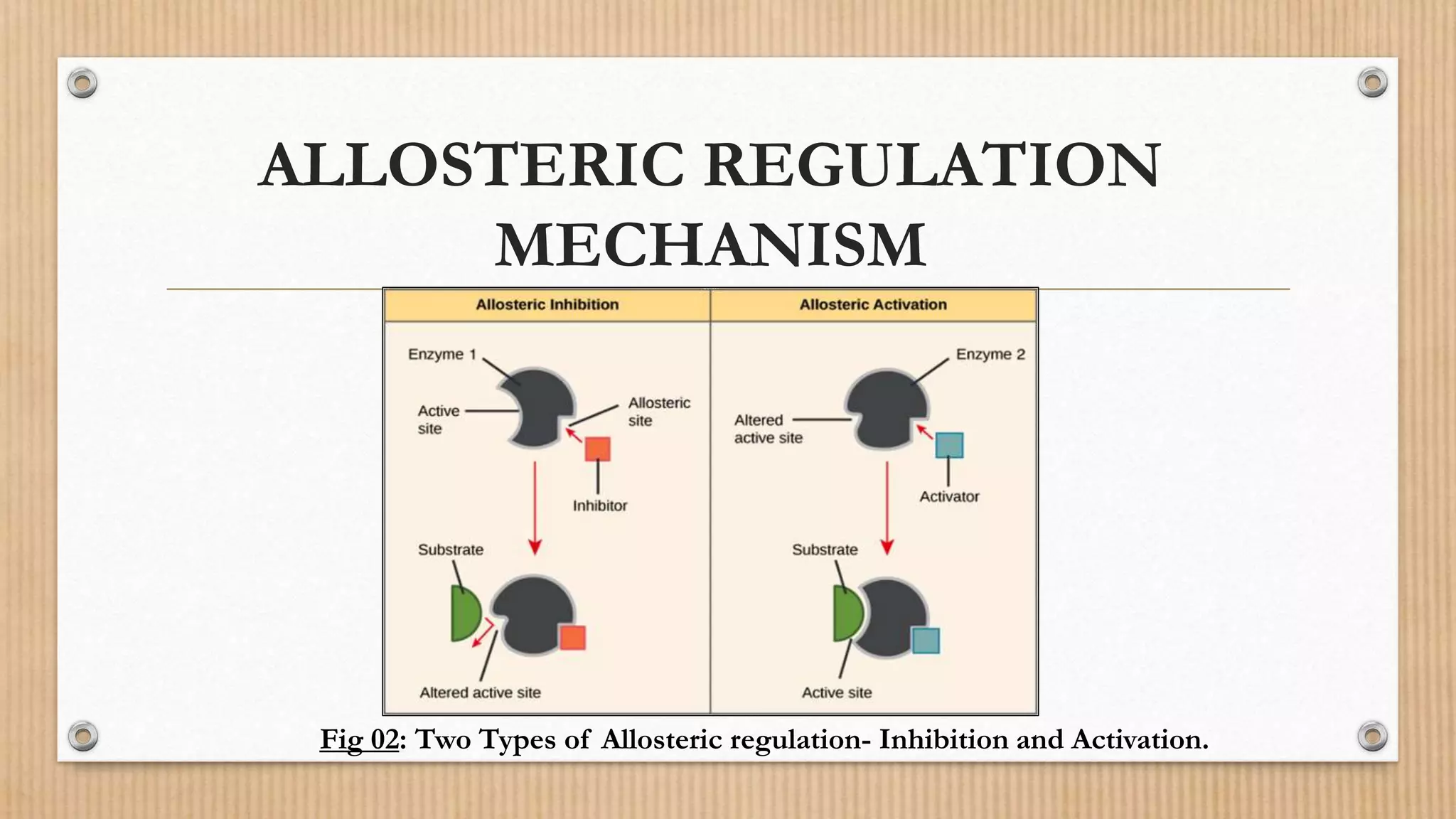 Allosteric enzymes | PPTX