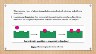 Allosteric enzymes | PPTX