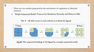 Allosteric enzymes | PPTX