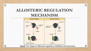 Allosteric enzymes | PPTX