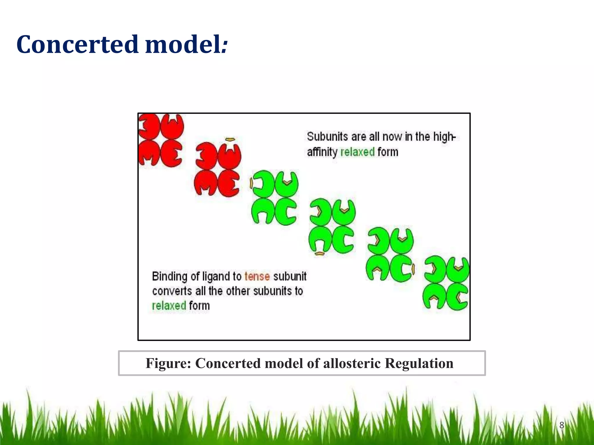 Allosteric enzymes regulation | PPTX