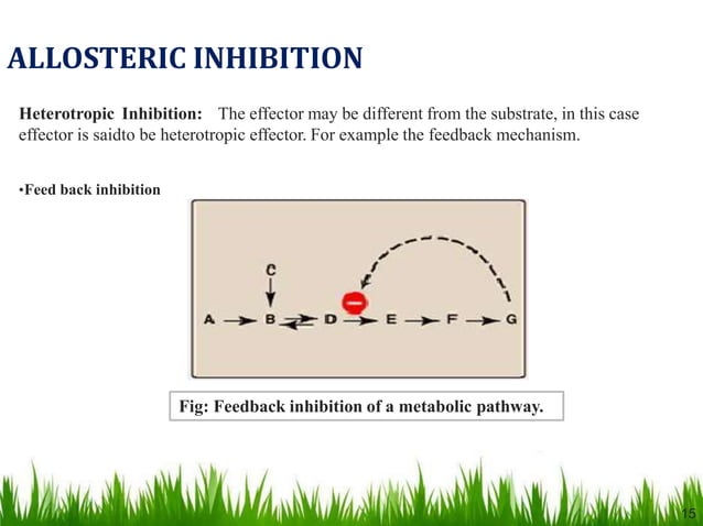 Allosteric enzymes regulation | PPTX | Chemistry | Science