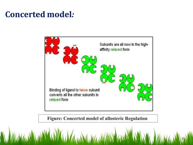 Allosteric enzymes regulation | PPTX | Chemistry | Science
