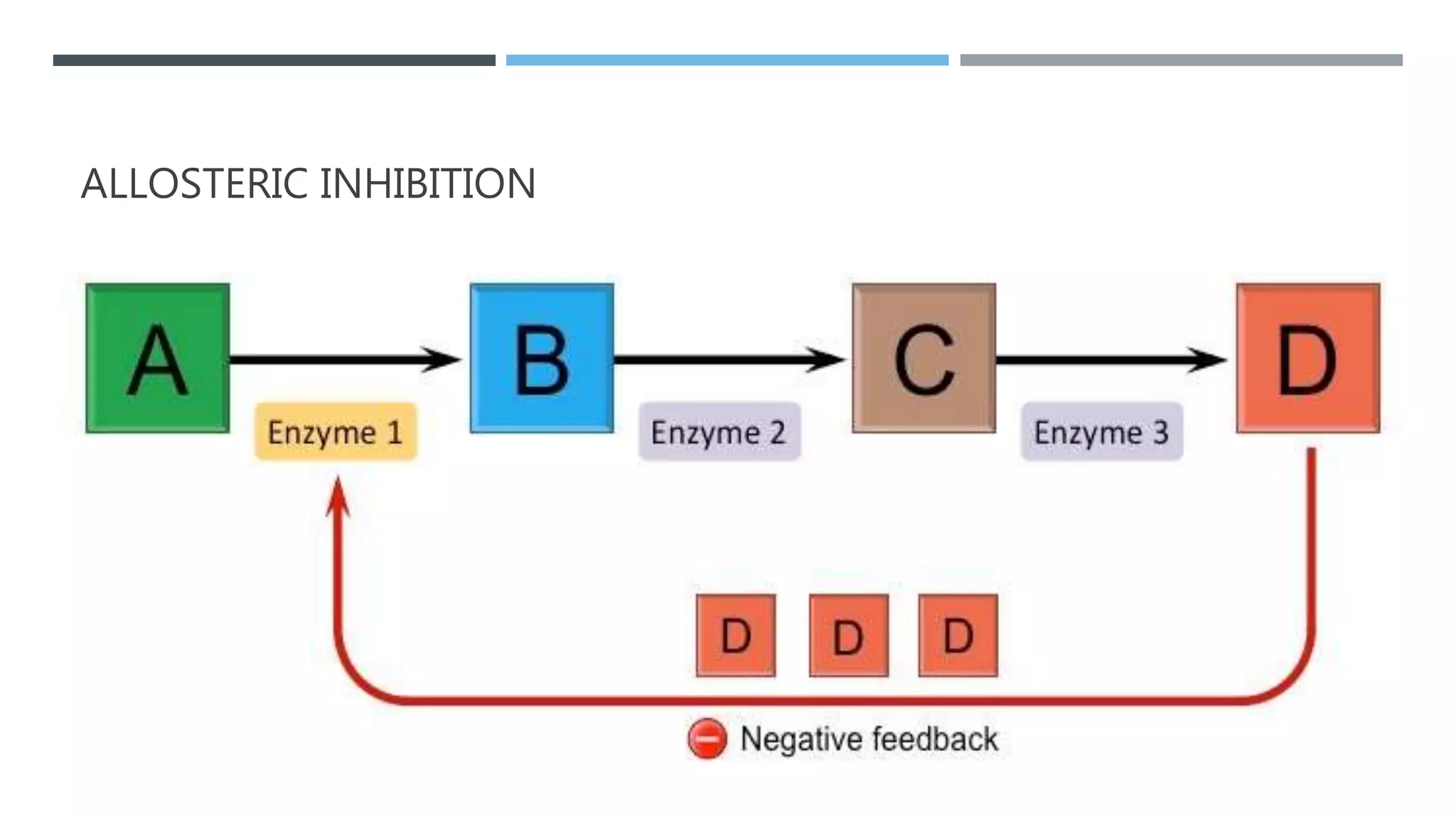 Allosteric enzymes and their regulation | PPTX