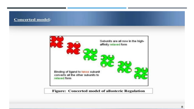 Allosteric enzymes and their regulation | PPTX | Chemistry | Science