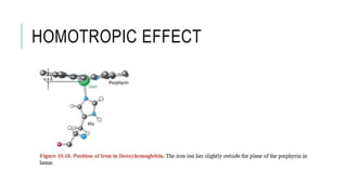 Allosteric property of hemoglobin | PPTX