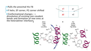 Allosteric property of hemoglobin | PPTX
