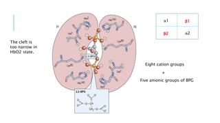 Allosteric property of hemoglobin | PPTX