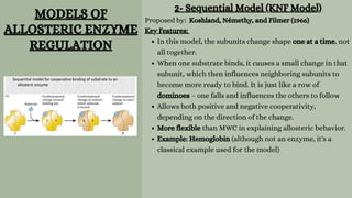 Allosteric regulation and covalent modifications..pdf