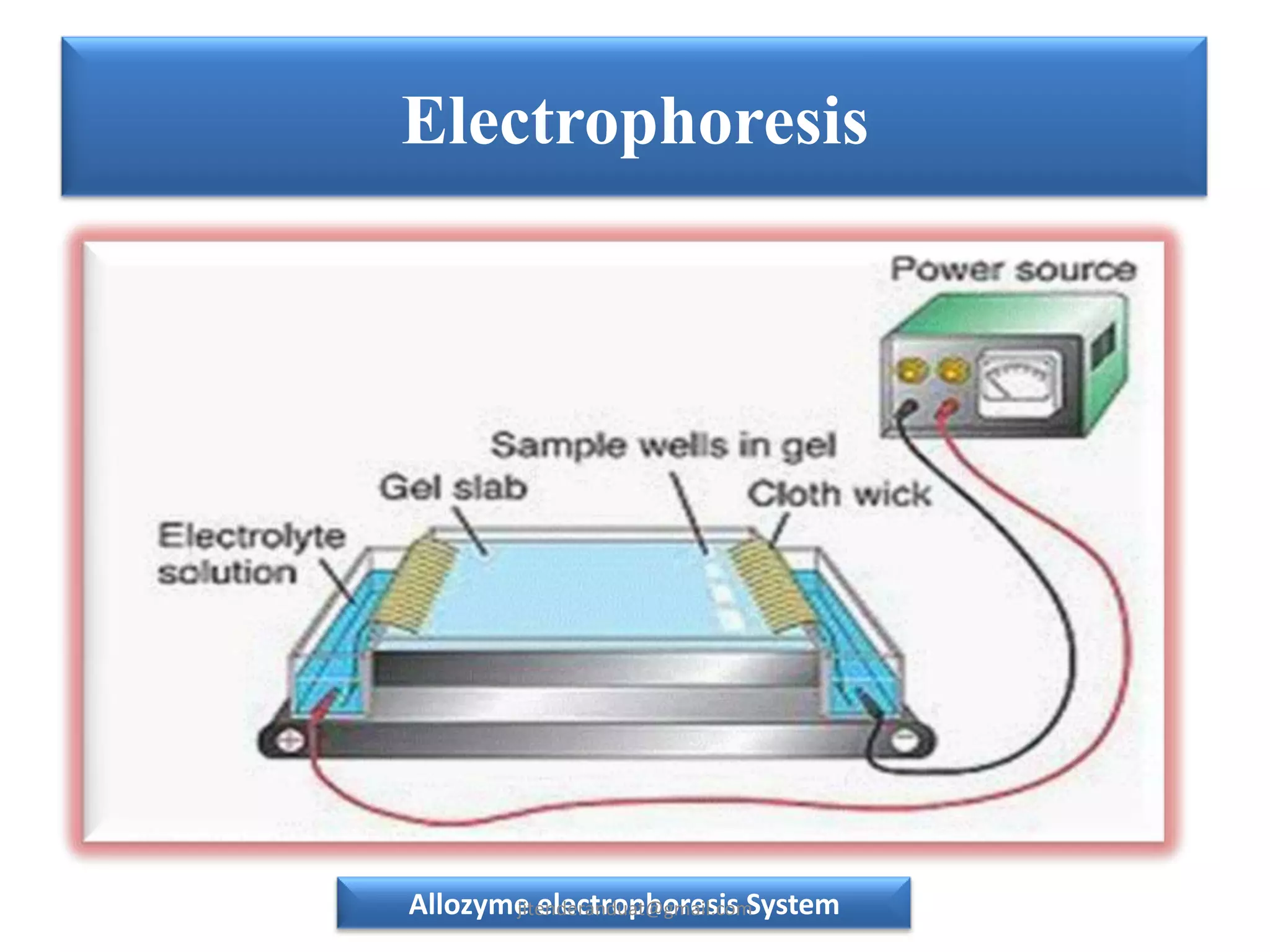 Allozymes and isozymes | PPTX