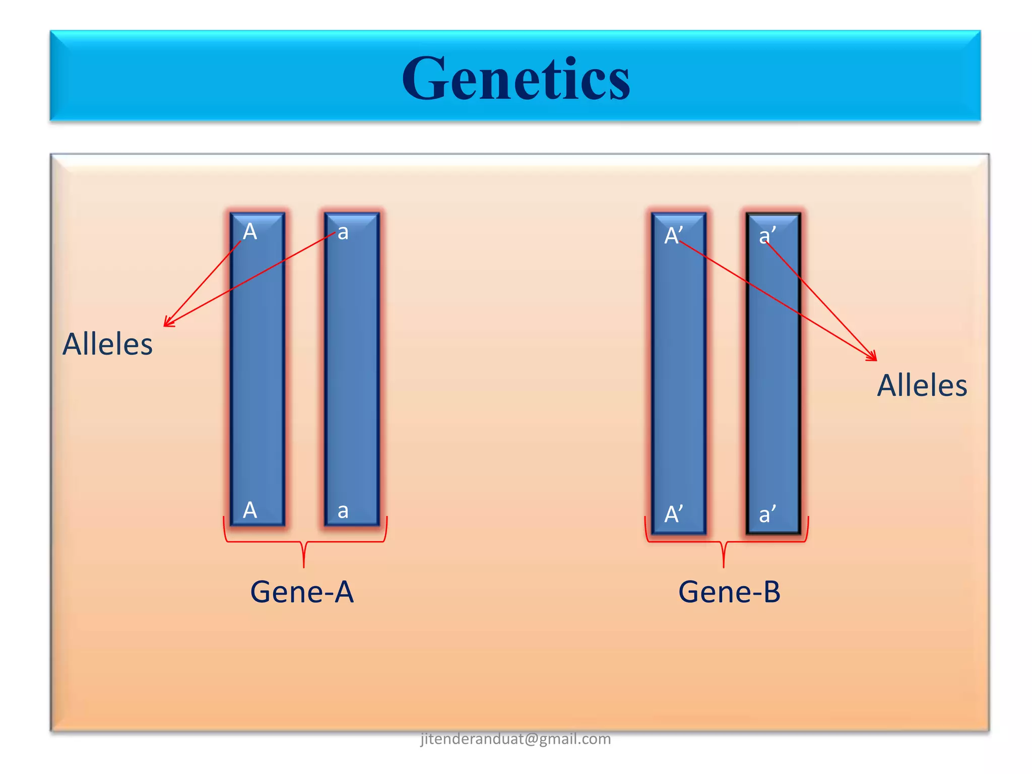 Allozymes and isozymes | PPTX