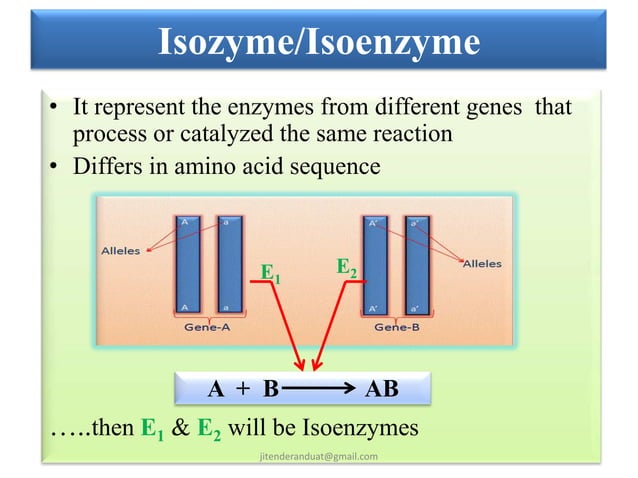 Allozymes and isozymes | PPTX