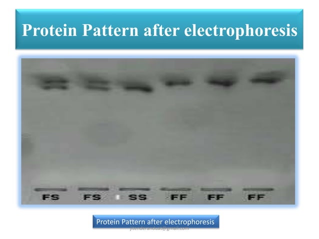 Allozymes and isozymes | PPTX