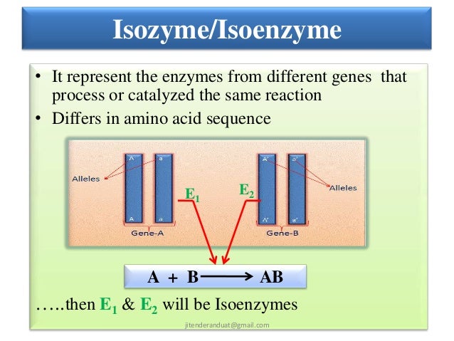 Allozymes and isozymes