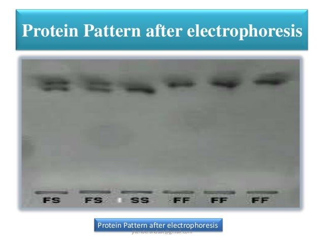 Allozymes and isozymes