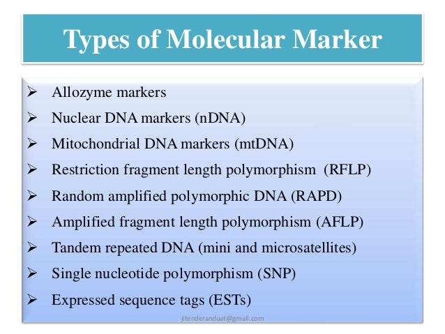 Allozymes and isozymes