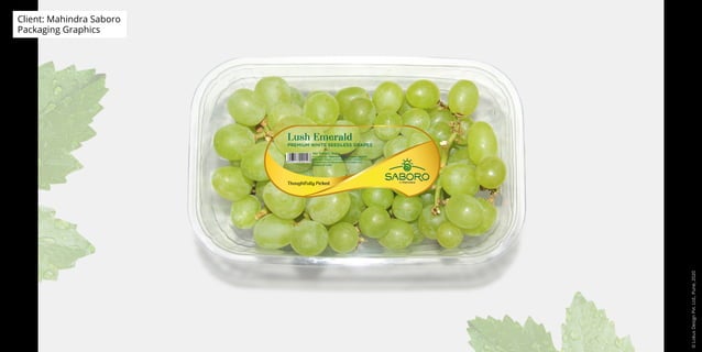 Lokusdesign Credentials: Packaging Design | PPT