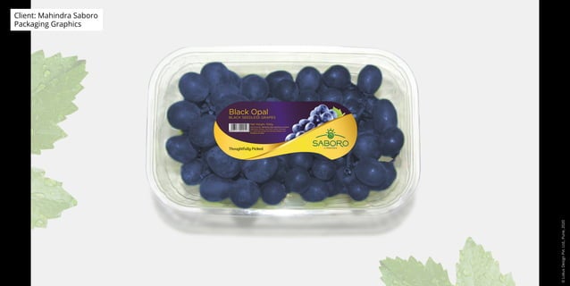 Lokusdesign Credentials: Packaging Design | PPT