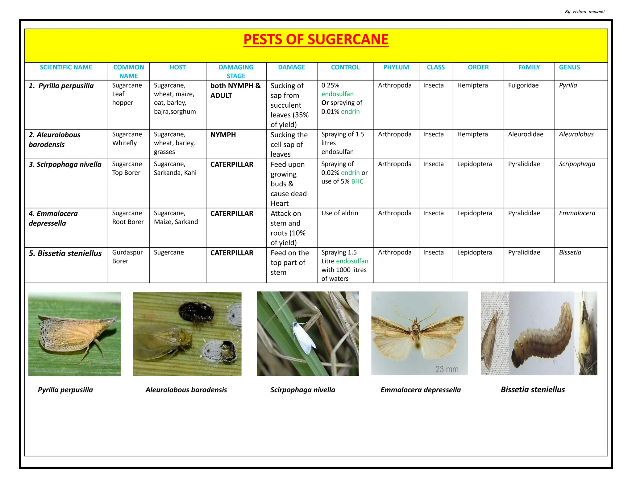 ALL PESTS of Crops। BSc Zoology । V. Mewati | PDF
