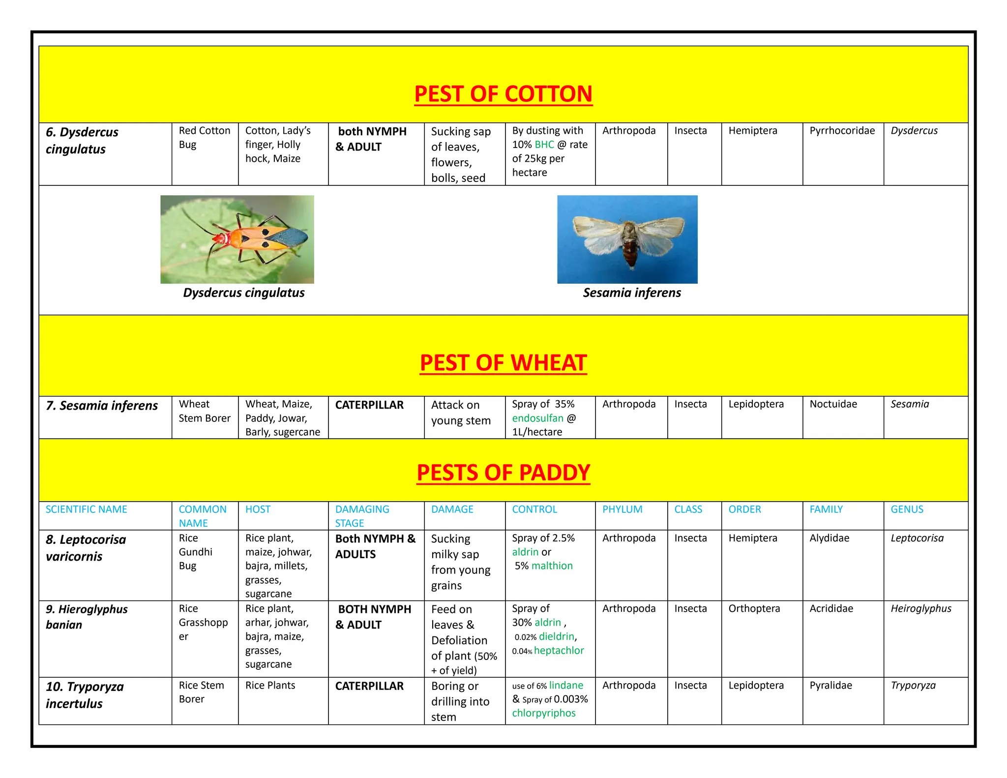 ALL PESTS of Crops। BSc Zoology । V. Mewati | PDF