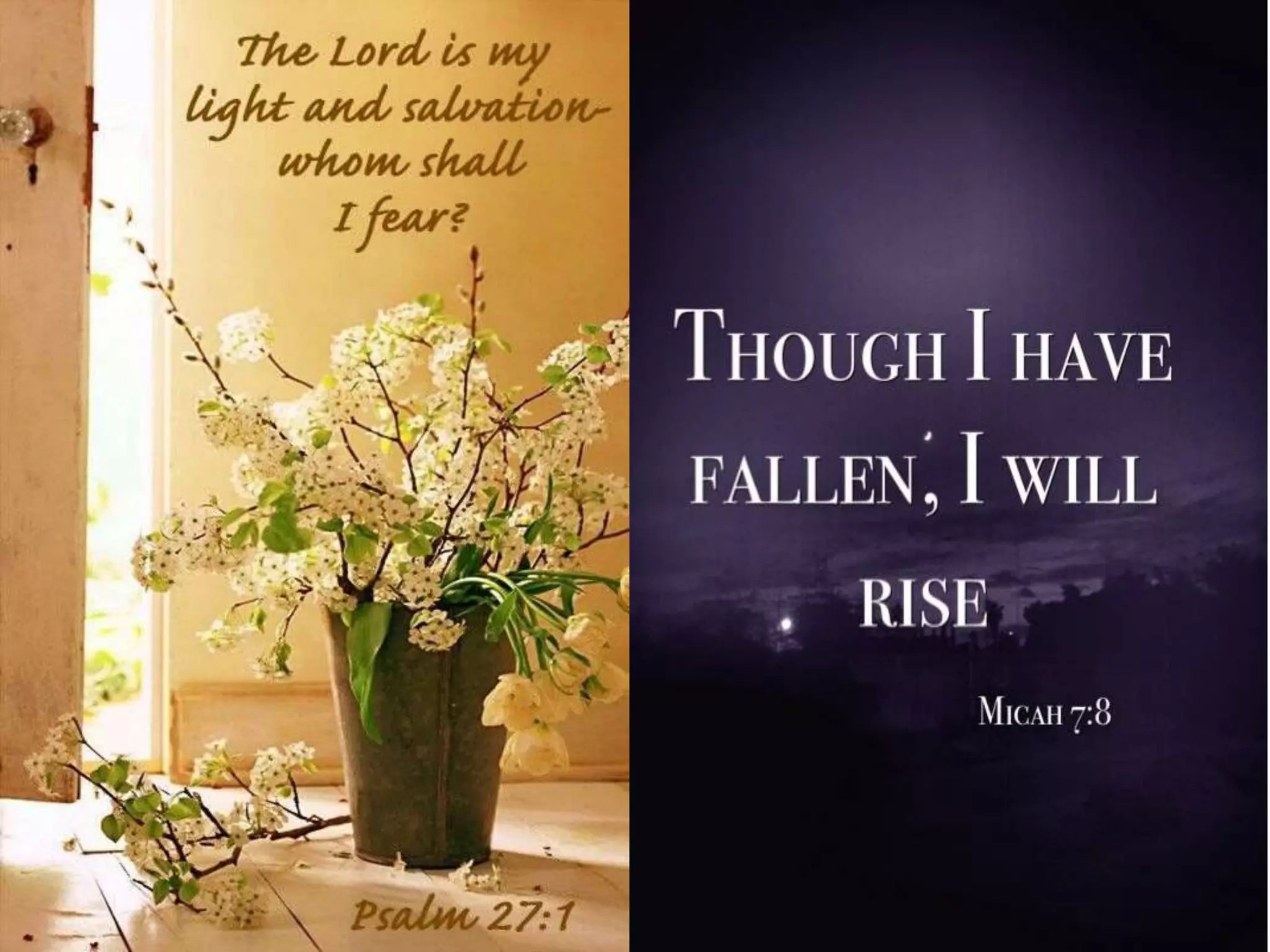 All praise for jesus christ | PPTX