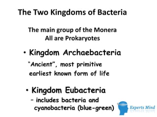 All prokaryotes are in the monera kingdom | PPT