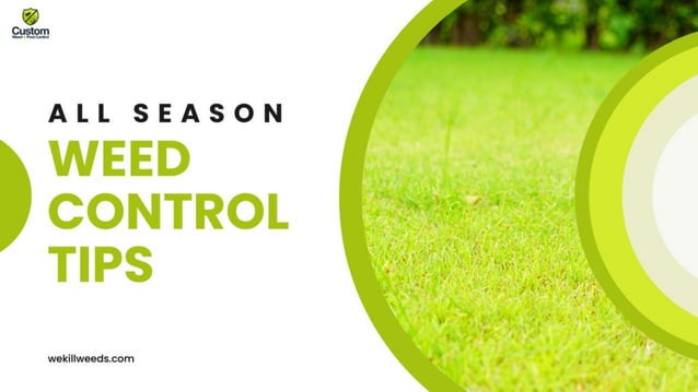 All Season Weed Control Tips.pptx