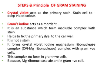 All staining techniques | PPTX