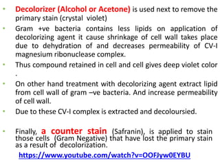 All staining techniques | PPT