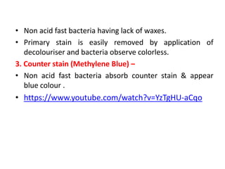 All staining techniques | PPT